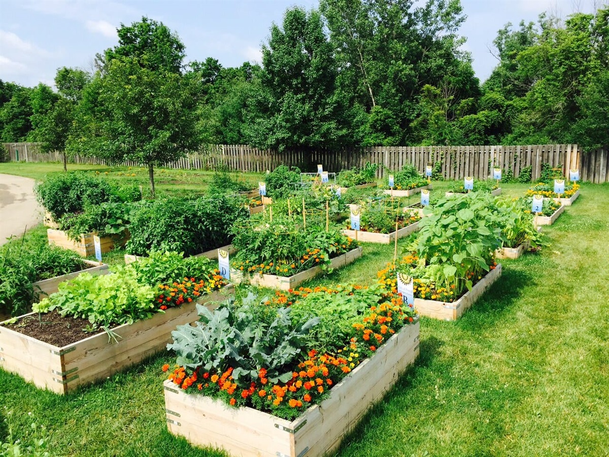 Community Gardeners